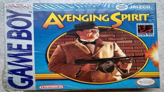 Avenging Spirit Game ONLINE - Play Avenging Spirit Game
