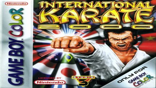 International Karate Game ONLINE - Play International Karate Game