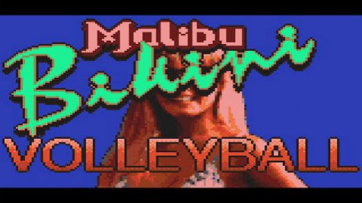 Malibu Bikini Volleyball Game ONLINE - Play Malibu Bikini Volleyball Game