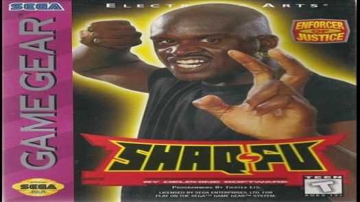Shaq Fu Game ONLINE - Play Shaq Fu Game